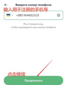 Bolt国内注册保姆及教程 【观看人数10W＋】 - SMS-man Blog